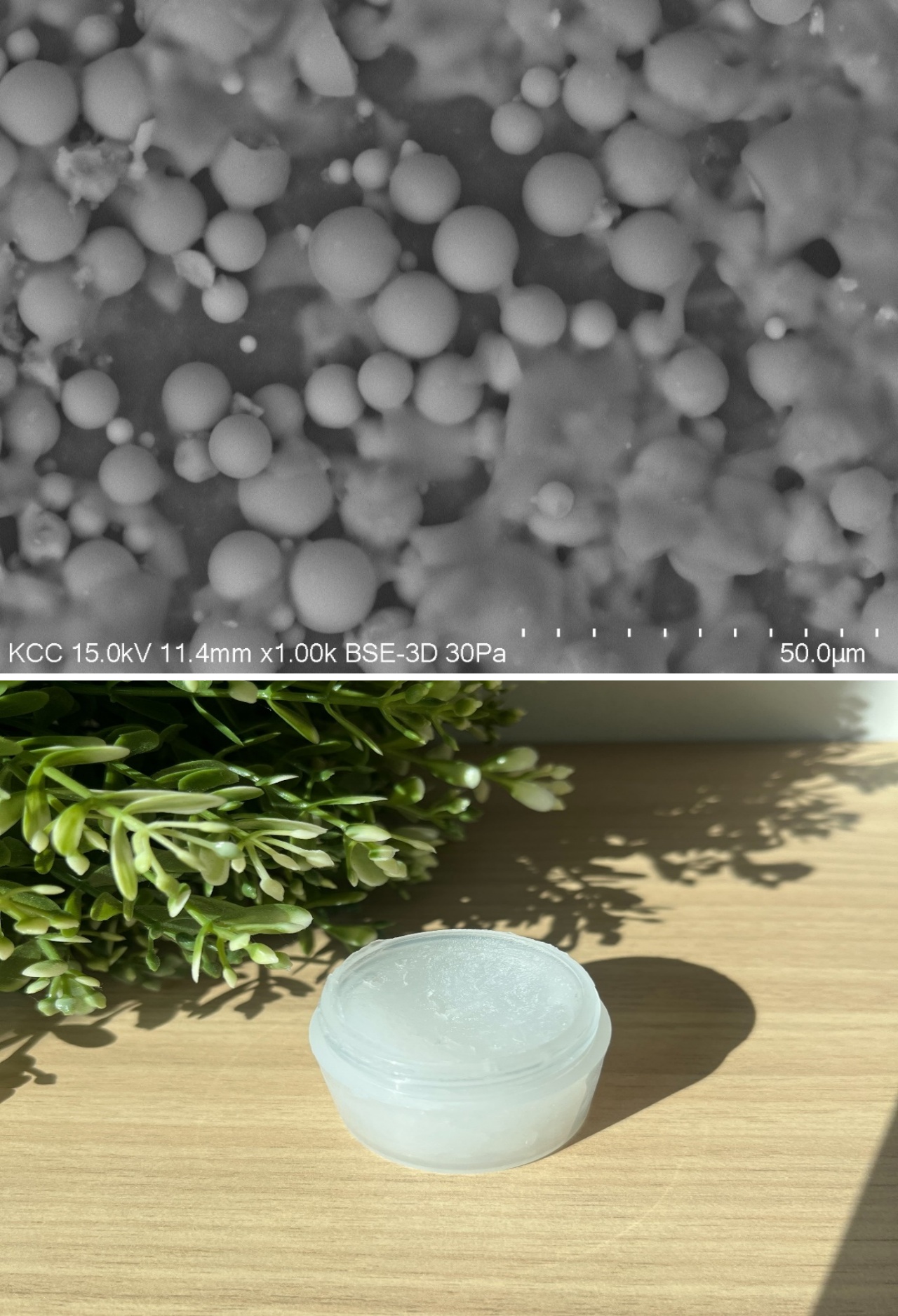 The Latest News - KCC SILICONE